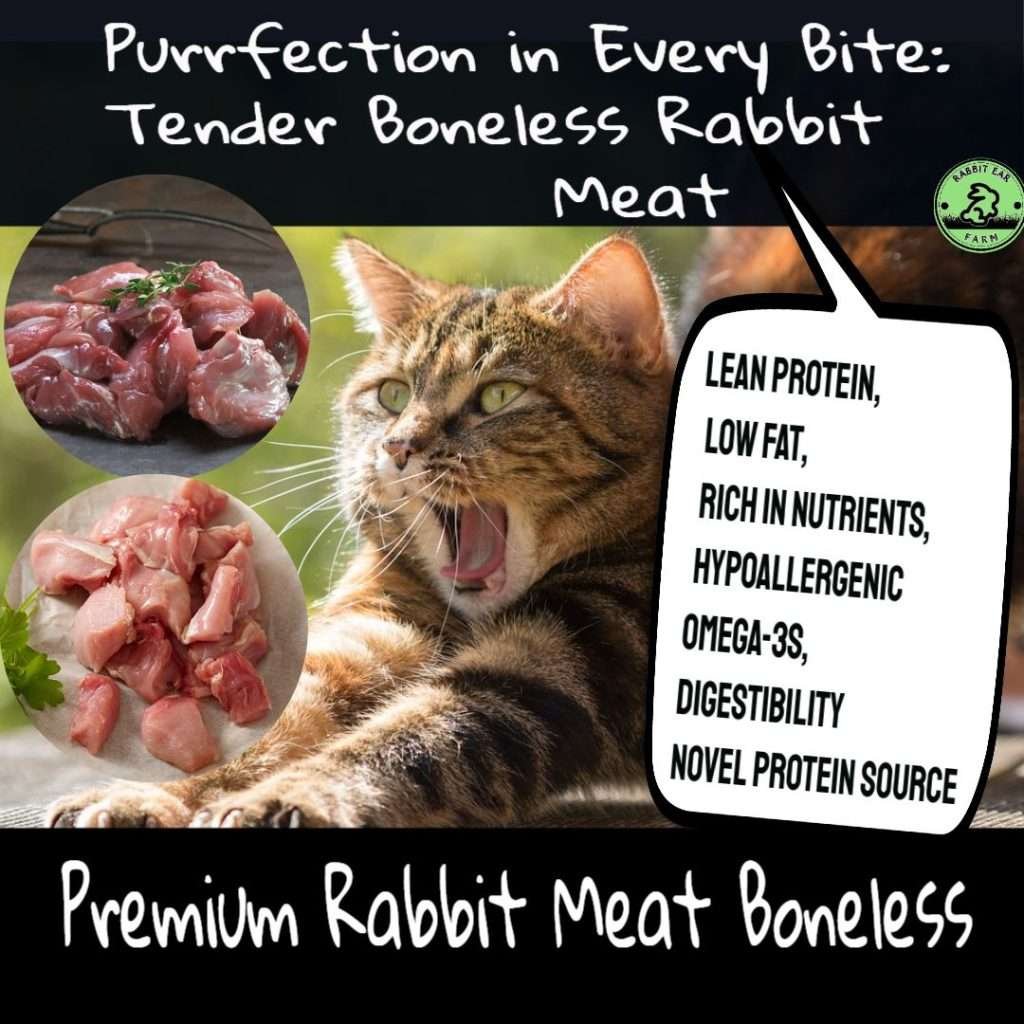 Rabbit Meat Boneless for Cat - Raw Cat Food (Special for Cat) - Rabbit ...
